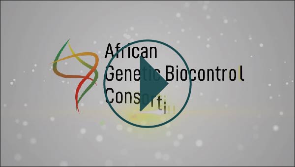 Home - The African Genetic Biocontrol Consortium